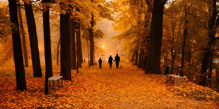 Join the Parks And Gardens Photo Contest and win Canon EF 50mm Lens ...